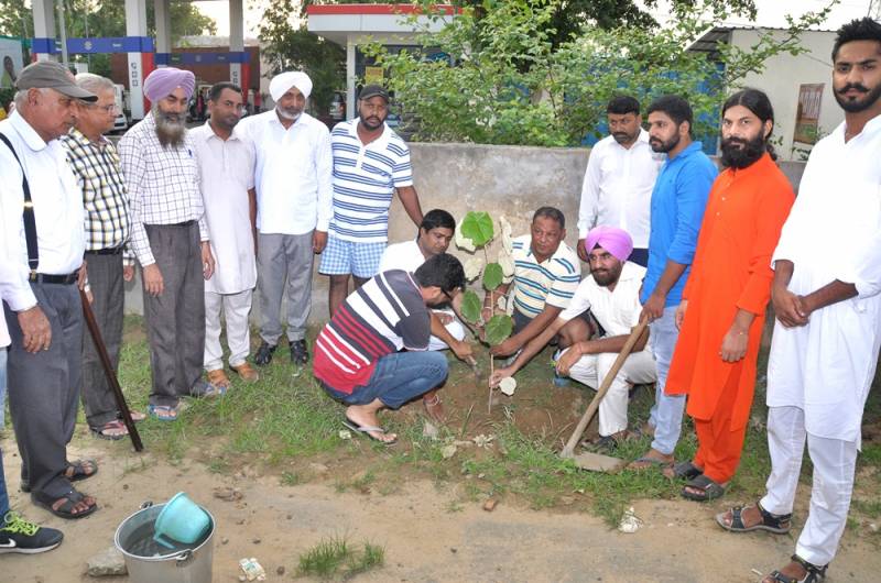Van Mahotsav 2016 | Thousands of trees planted and distributed across ...