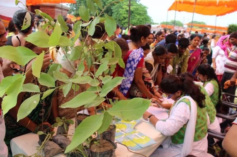 Van Mahotsav 2016 | Thousands of trees planted and distributed across ...