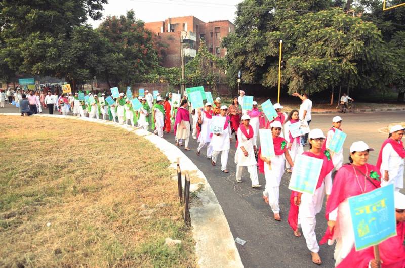 DJJS Chandigarh organizes 'Green City Walkathon' | News :: Divya Jyoti ...