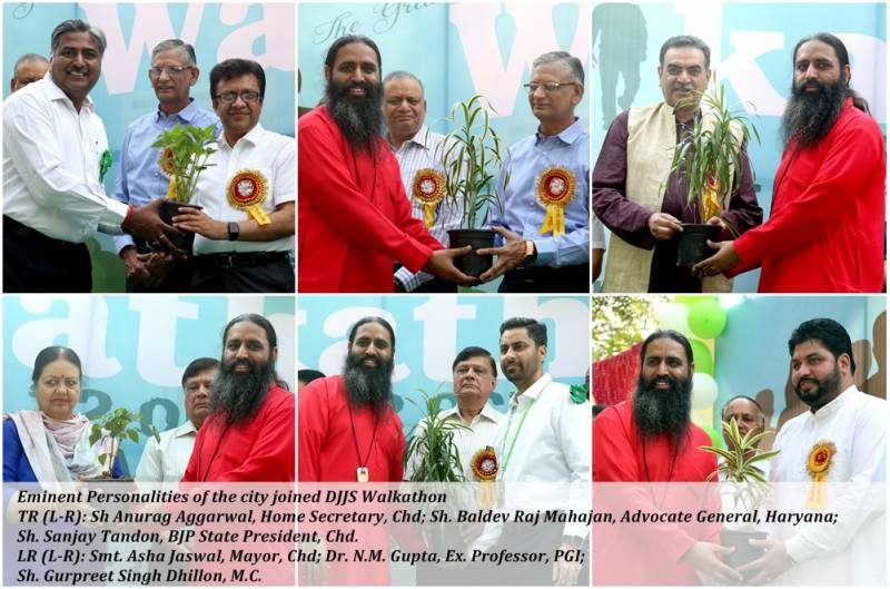 DJJS Chandigarh organizes 'Green City Walkathon' | News :: Divya Jyoti ...